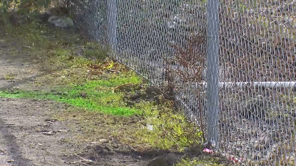 Man Stuck In Fence Spurs Hit And Run Investigation In Tukwila Komo
