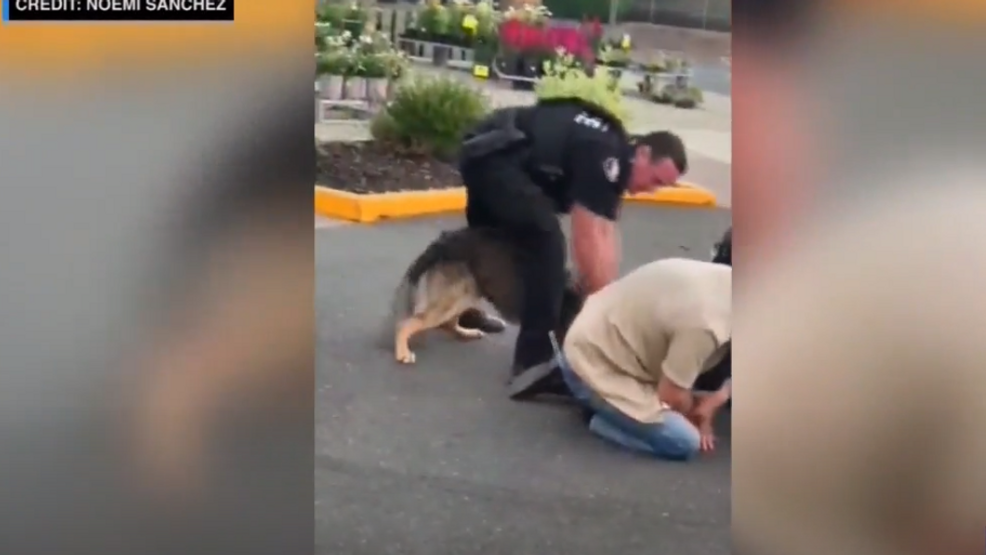 Video shows Yakima cop forcing K-9 dog to bite pinned-down suspect | KOMO