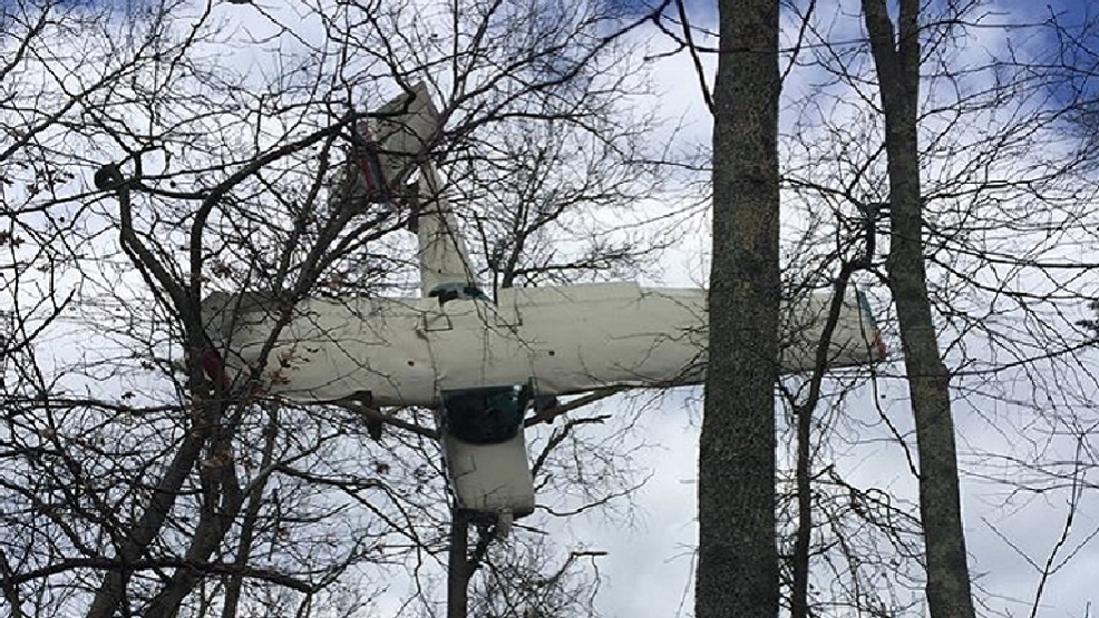 Pilot rescued from small plane crash into tree in Adams County | WHP
