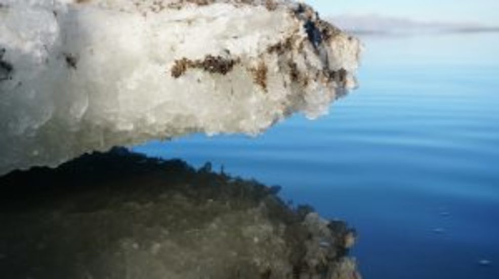 PHOTOS: Rare salt formations at Great Salt Lake draw thousands of ...