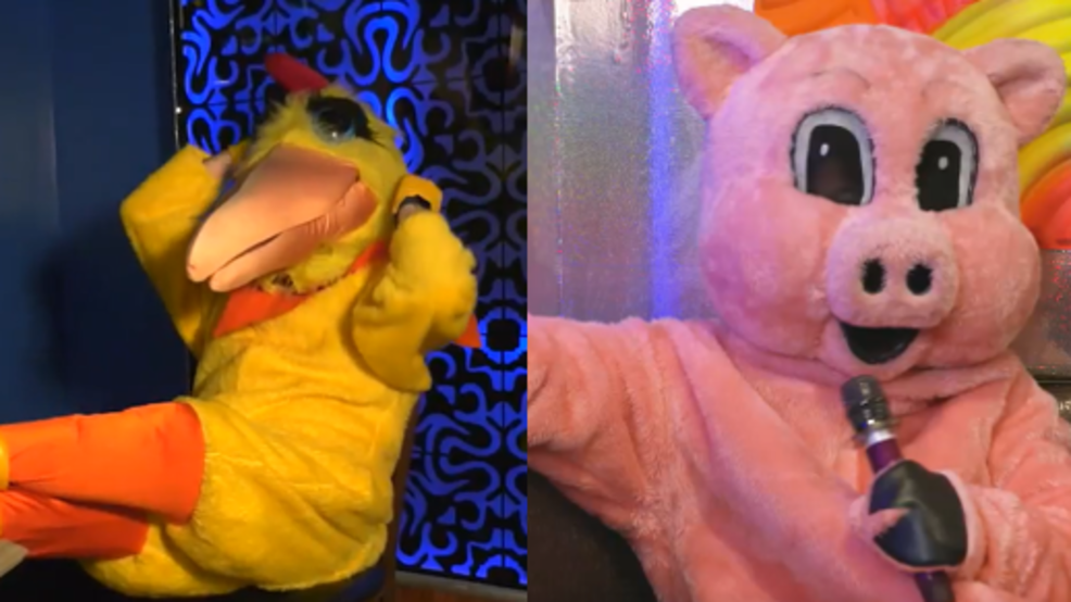 Rochester's Masked Singers - The Pig & The Chicken! | WHAM