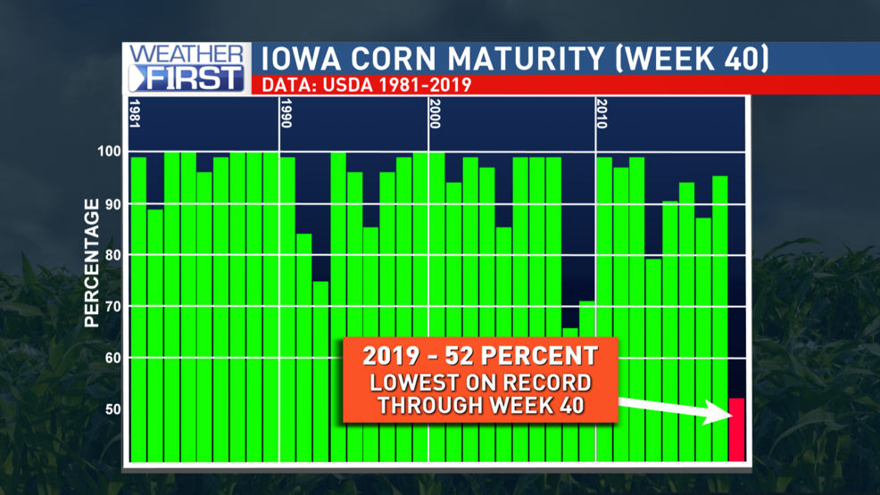 More than 40% drop in corn maturity from last year | KGAN