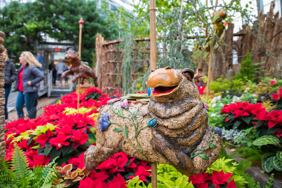 The Holiday Show At Krohn Conservatory Is Looking Great This Year ...
