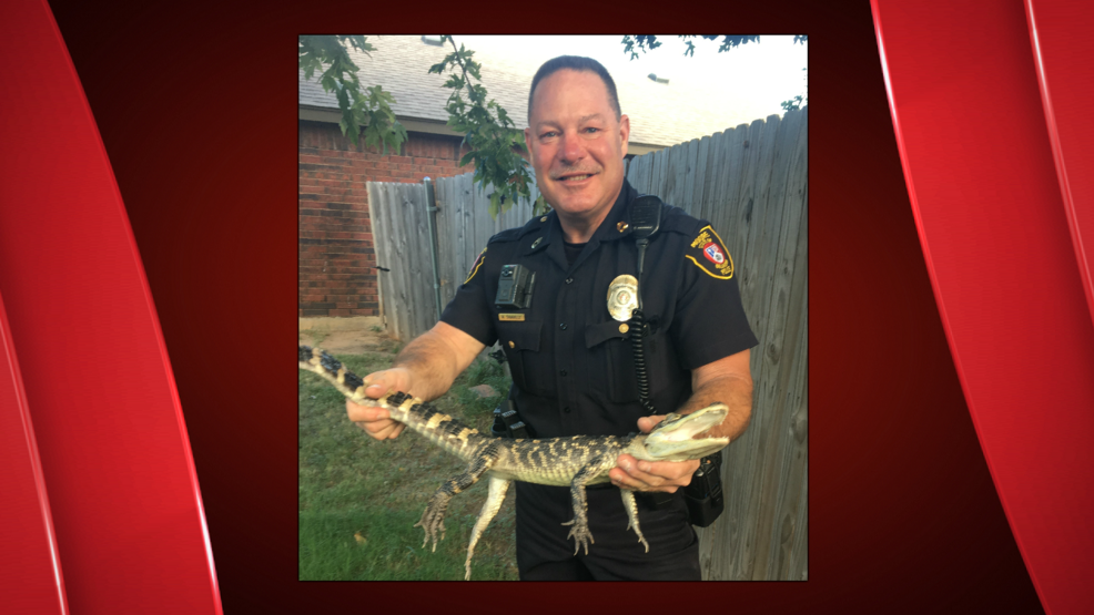 Gator Police: Officer captures roaming creature at large in Moore | KOKH